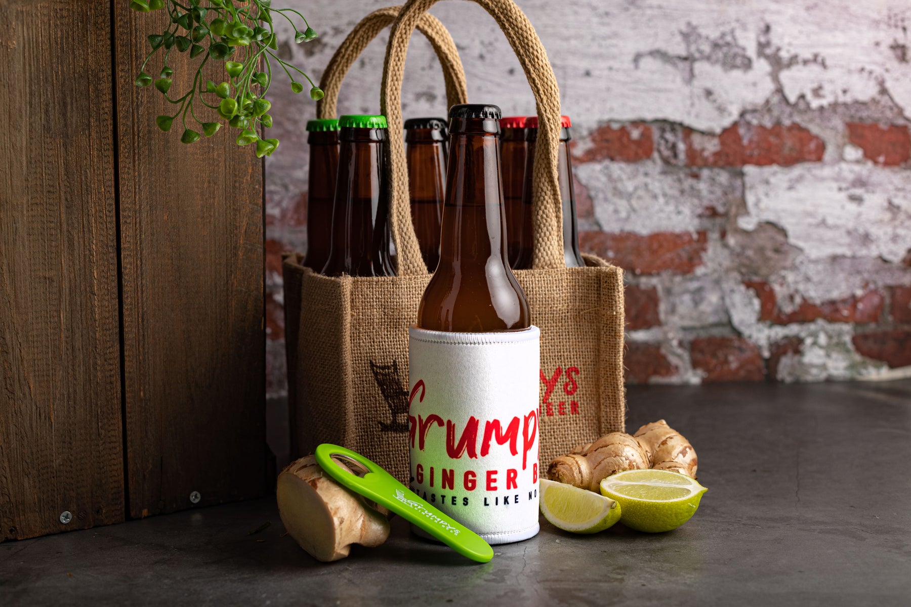 GRUMPYS GINGER BEER - CARTON – Grumpy's Ginger Beer