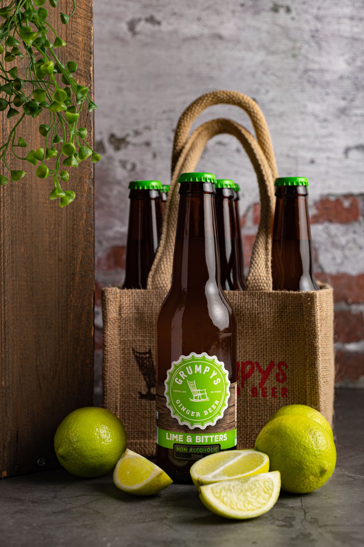 GRUMPY'S GINGER BEER - 6 PACK – Grumpy's Ginger Beer